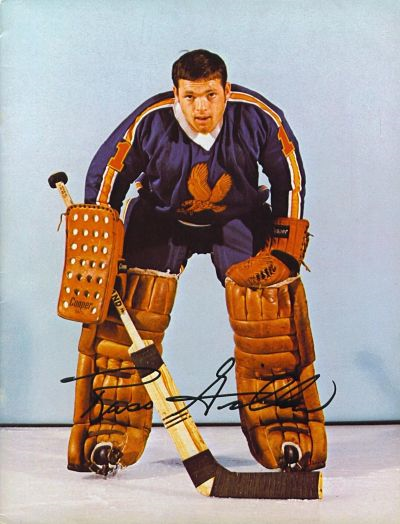 Phoenix Roadrunners (WHA) - Alchetron, the free social encyclopedia